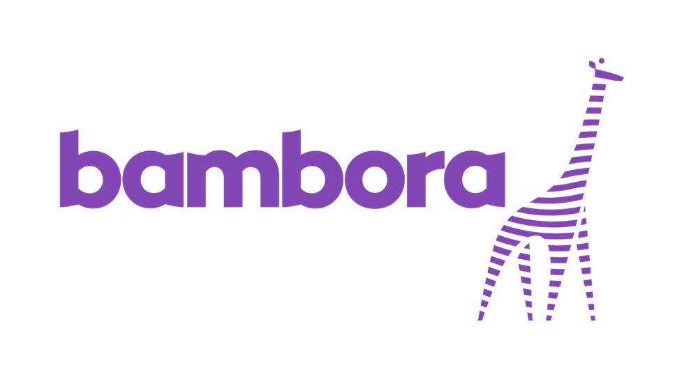 Bridge Payment: Your Trusted Partner for Debit, Credit Card, and POS ...